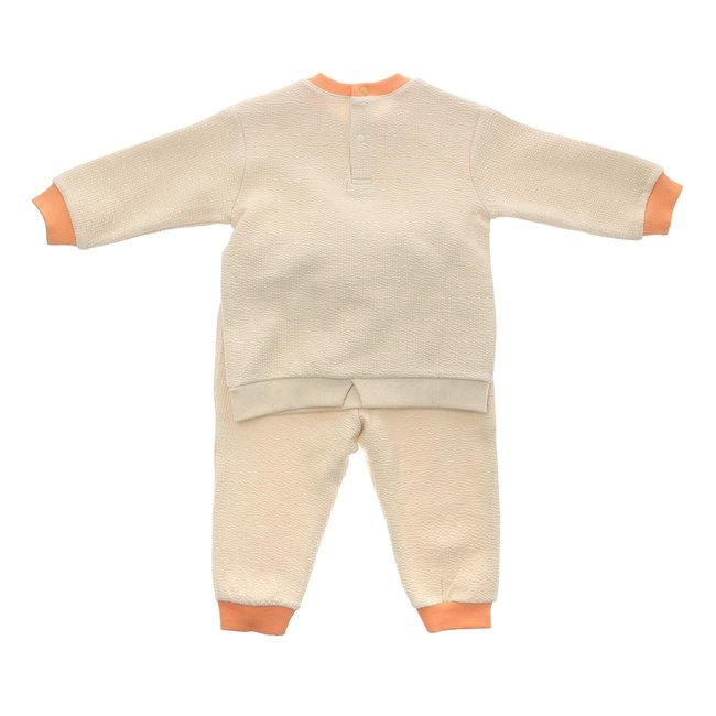 (압소바출산백일돌선물)리후상하(AY5-13002)