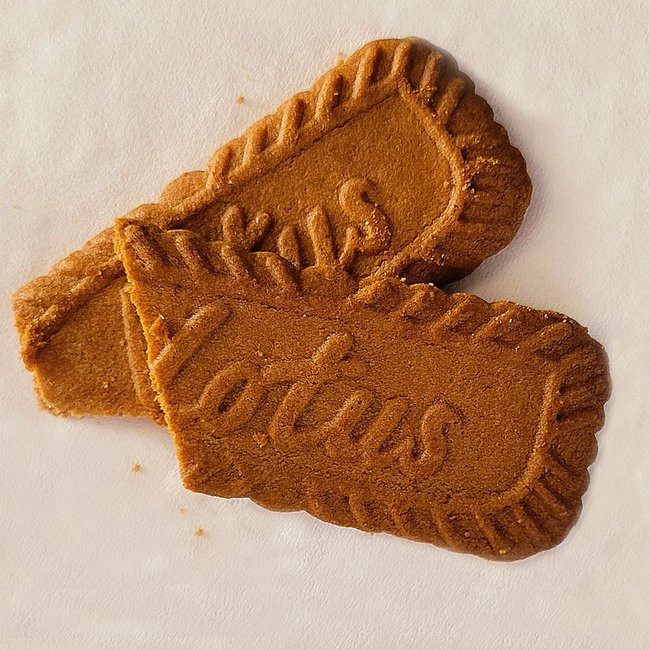 로투스 비스코프 750g (일괄포장)