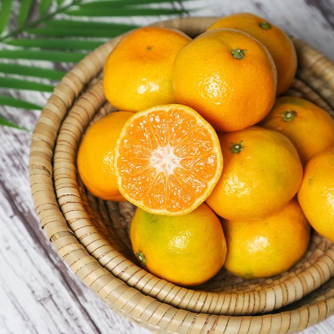 [농부마음]고당도 제주감귤 노지감귤 5kg 2S