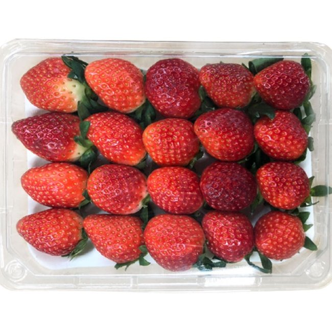 무농약 설향딸기 특 500g