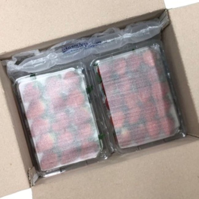 무농약 설향딸기 특 500g