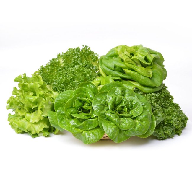 친환경 무농약 유러피안 샐러드 야채모듬 로메인 버터헤드 프릴아이스 수경재배 채소 500g