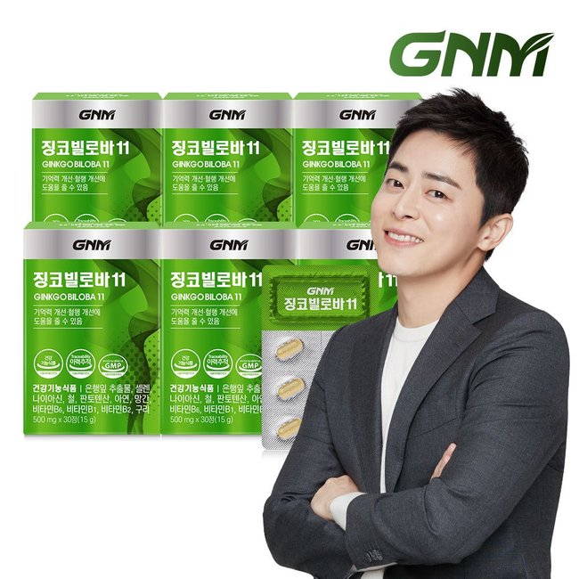GNM 징코빌로바11 6박스 / 은행잎추출물 비타민B 아연 판토텐산