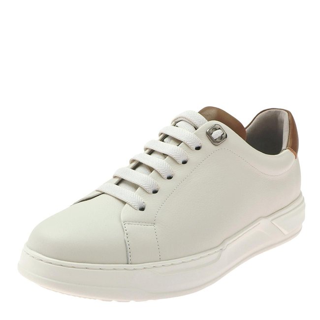 탠디 남성용 스니커즈 (3.5센치) 516730 C-1321