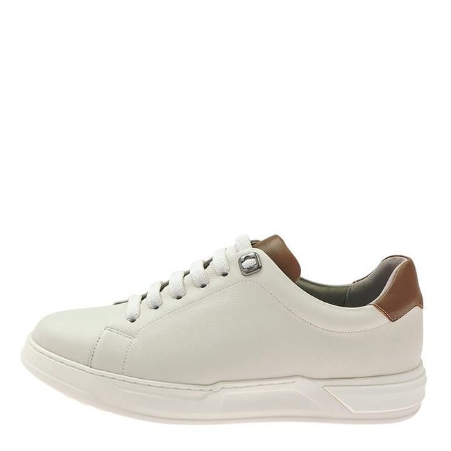 탠디 남성용 스니커즈 (3.5센치) 516730 C-1321