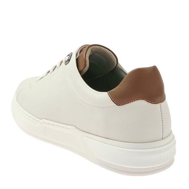 탠디 남성용 스니커즈 (3.5센치) 516730 C-1321