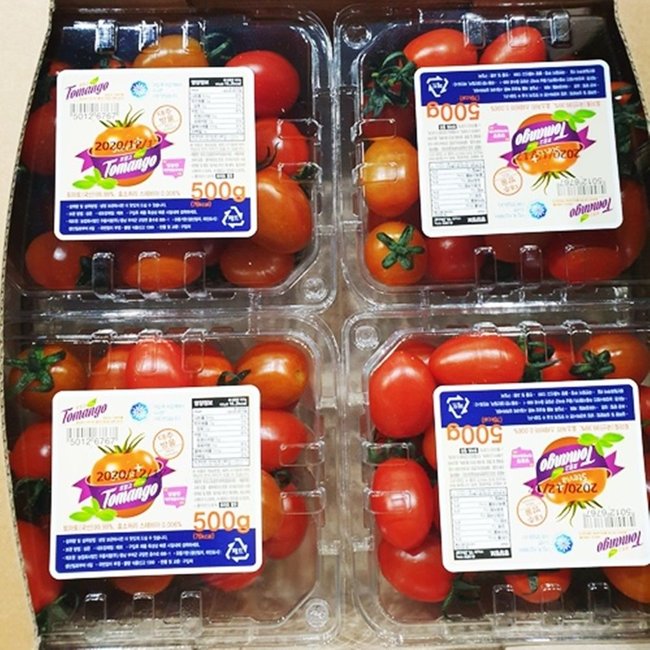 [바른팜] 달콤한 토망고 스테비아 방울토마토 1팩 500g