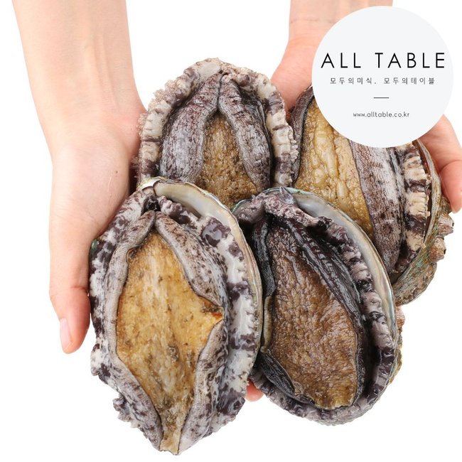 완도 활전복 중대 11미 1kg 전복선물세트